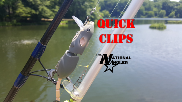 Quick Clips – Time Saving Fishing Tip | The National Angler