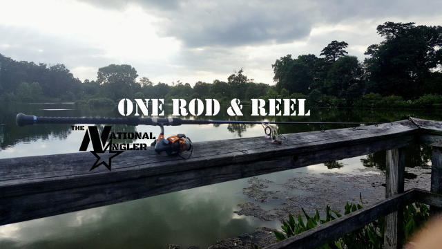 Utility Rod – Picking Just One Fishing Rod | The National Angler